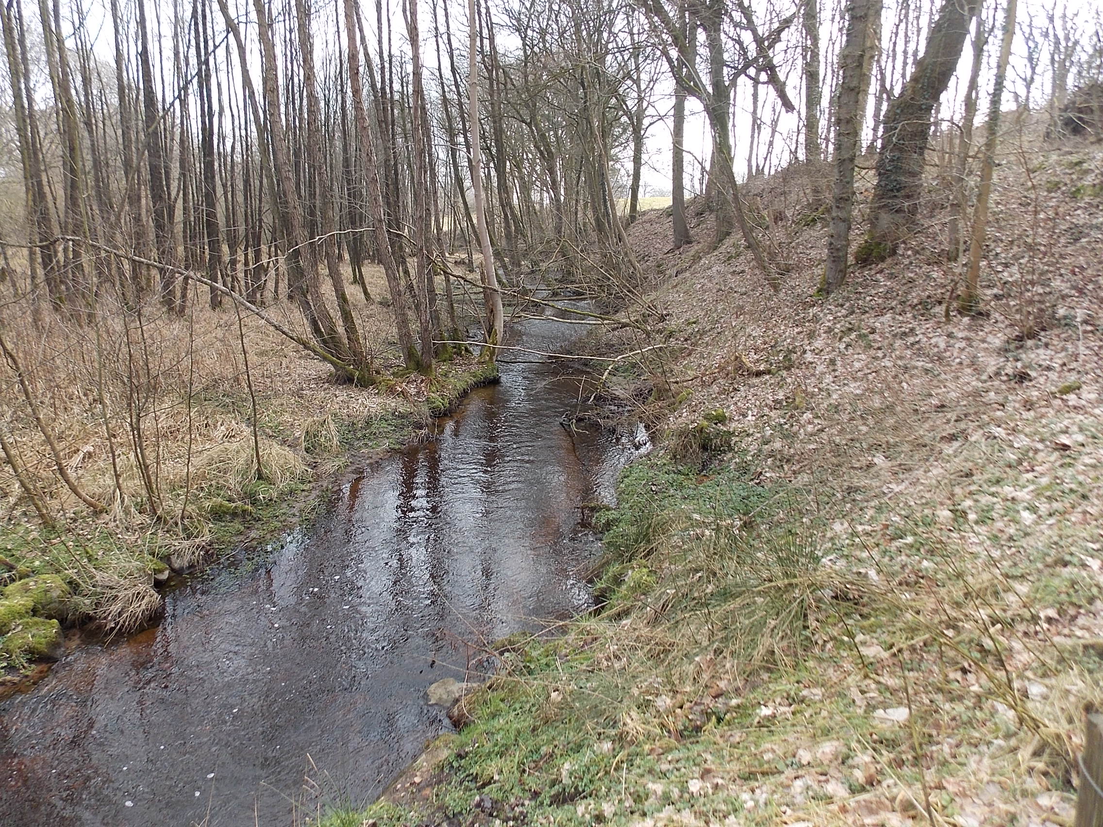 013 Selker Mühlenbach – FWSpass.de
