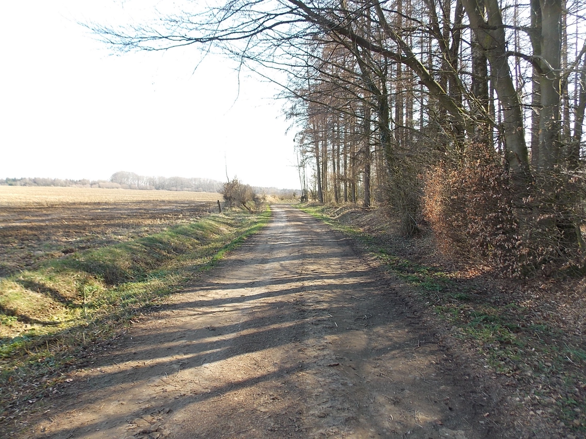 047 Tappendorf Sandweg – FWSpass.de